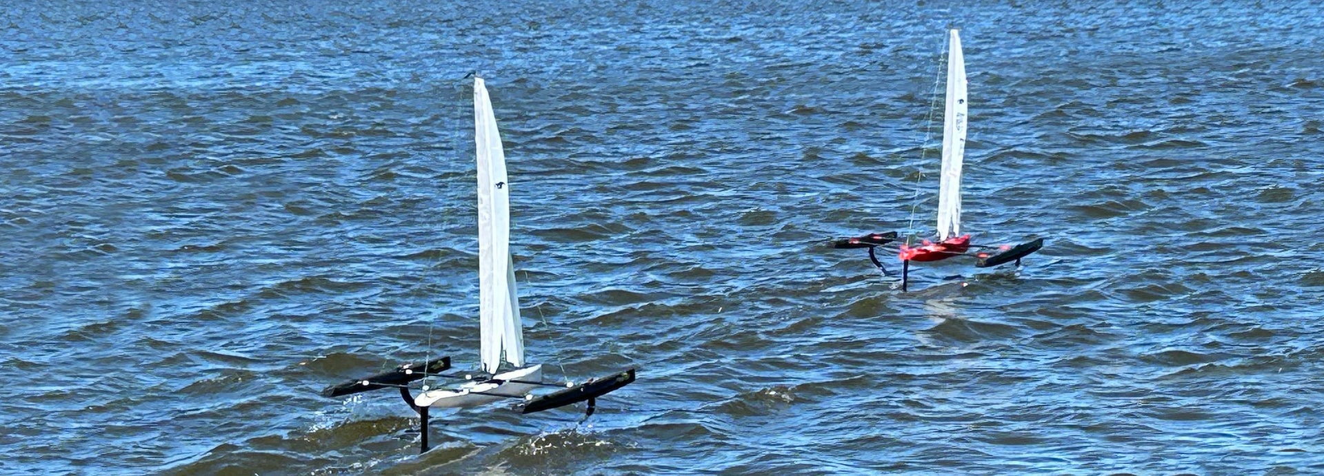 RC Foil Sailing